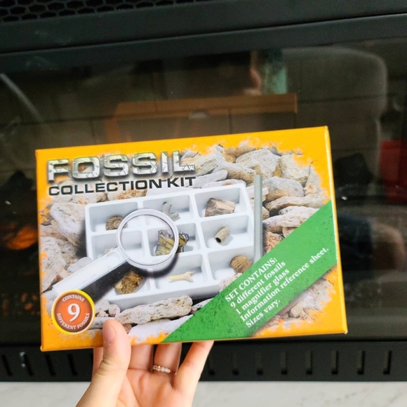 Accents | Fossils Collection Kit Set Of 9 Fossils | Poshmark